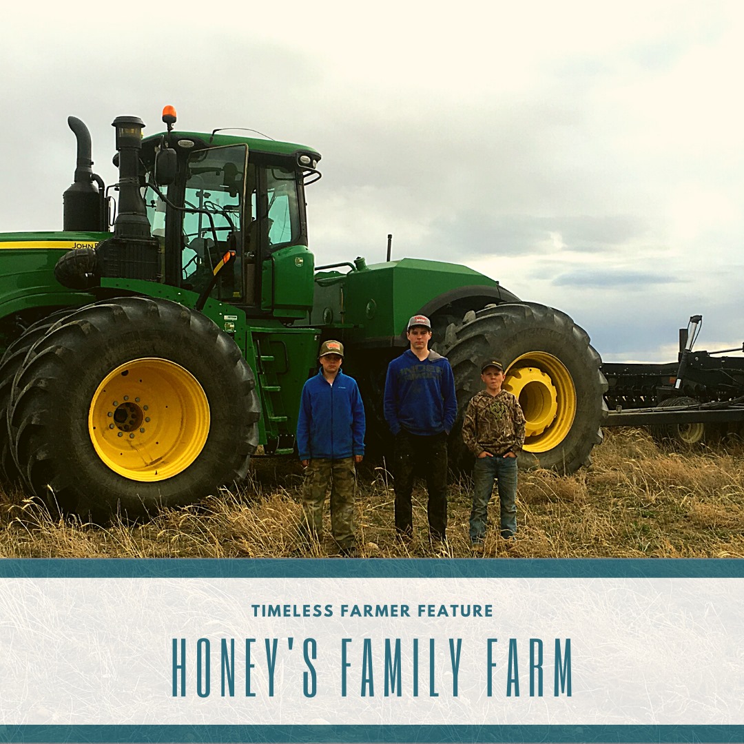 Farmer Feature: Honey's Family Farm